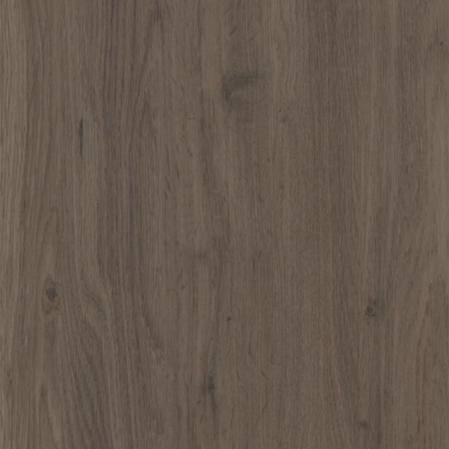 Roble Eternity | Lamicentro